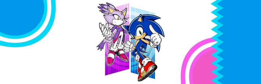 Hero for Sonic Rush by AlexG - SteamGridDB