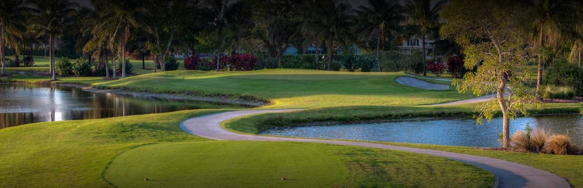 Links 2003: Championship Edition - SteamGridDB