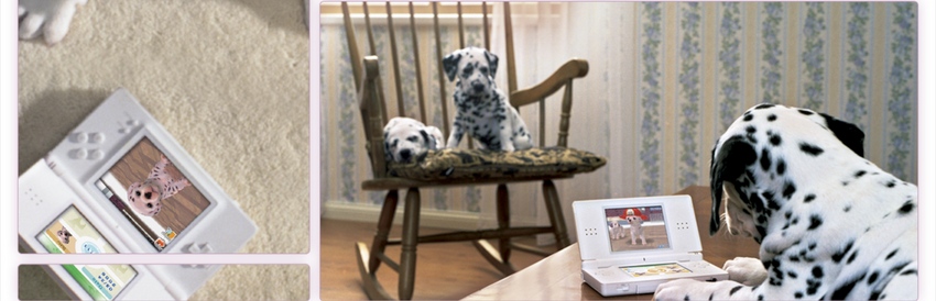 Hero for Nintendogs: Dalmatian & Friends by CDC - SteamGridDB