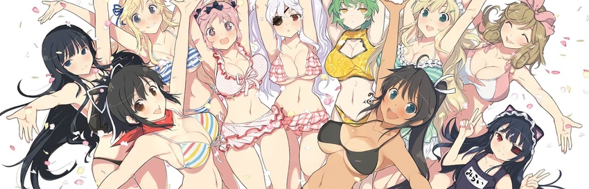 Hero for SENRAN KAGURA Burst Re:Newal by ASDFGVerde - SteamGridDB