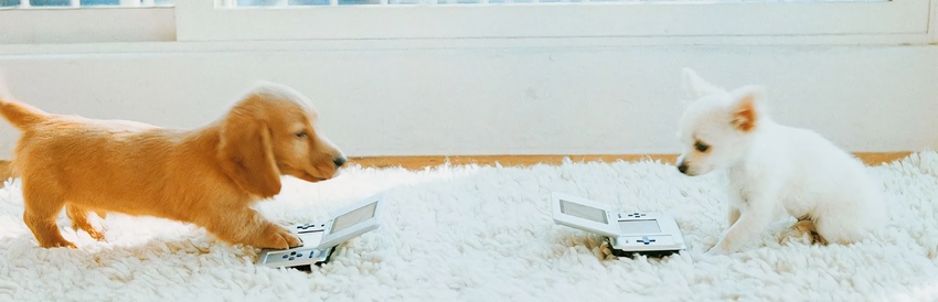 Hero for Nintendogs: Best Friends by V--R - SteamGridDB