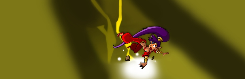 Hero for Shantae Advance: Risky Revolution by AnimeFan69 - SteamGridDB