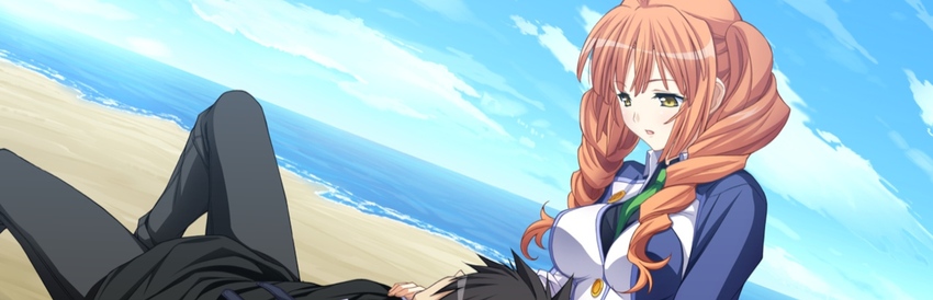 Hero for Baldr Sky Zero 2 by GIGA OTAKU - SteamGridDB