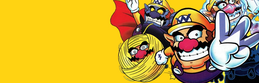 Hero for Wario Land 3 by bosspatrone - SteamGridDB