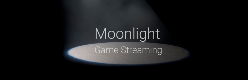Hero for Moonlight Game Streaming (Program) by Dipsomaniac - SteamGridDB