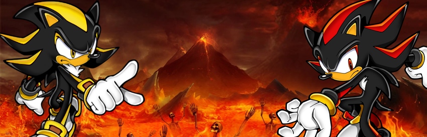 Hero for Shadow the Hedgehog Multiplayer by Bold&Brash - SteamGridDB