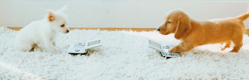 Hero for Nintendogs: Best Friends by Vic Firth - SteamGridDB