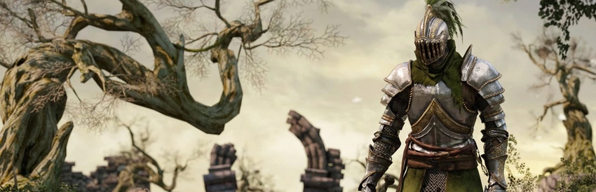 Hero for Dark Souls: Archthrones by DankoDeadZo - SteamGridDB