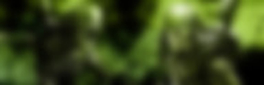 Hero for Aliens vs Predator Dedicated Server by KDany - SteamGridDB