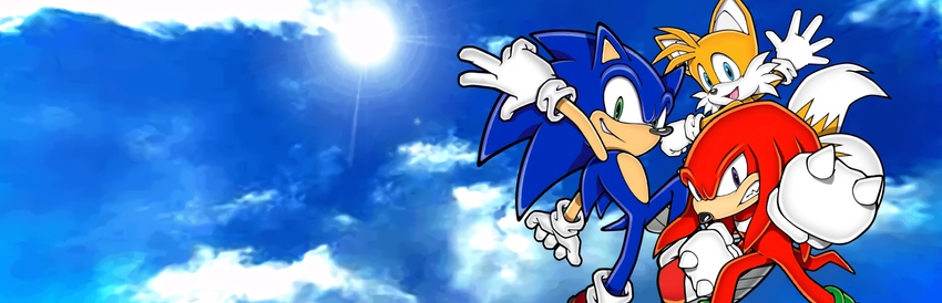 Hero for Sonic Heroes by UltraSapphire - SteamGridDB