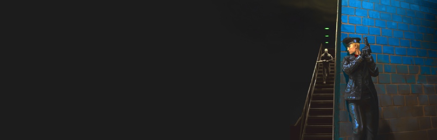 Hero for Wolfstone 3D by Arikado1476 - SteamGridDB