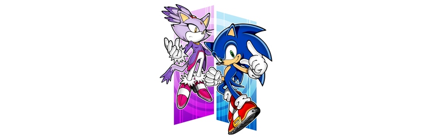 Hero for Sonic Rush by AlexG - SteamGridDB