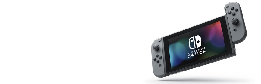 Hero for Nintendo Switch by riotgrrrl - SteamGridDB