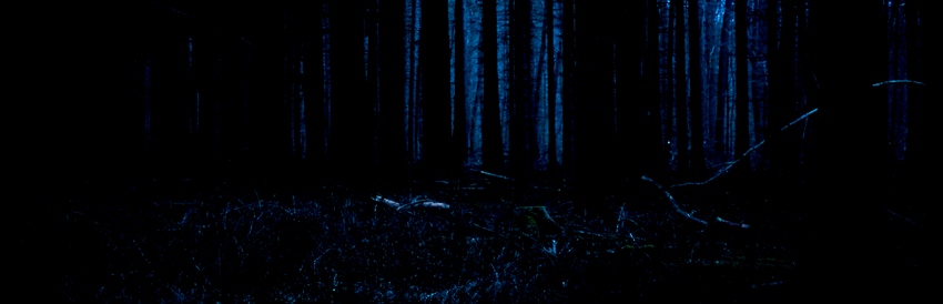 Hero for Death Forest: Kyoufu no Mori by Vorondanil54 - SteamGridDB