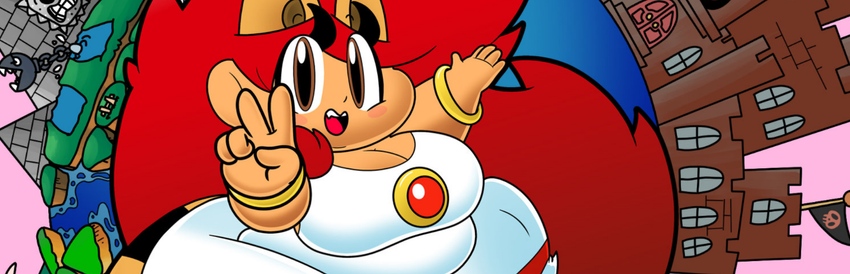 Hero for Super Mario Bros.: Peach's Adventure by Phanpy100 - SteamGridDB