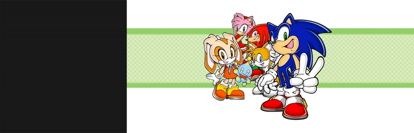 Hero for Sonic Advance 2 by Neptune13 - SteamGridDB