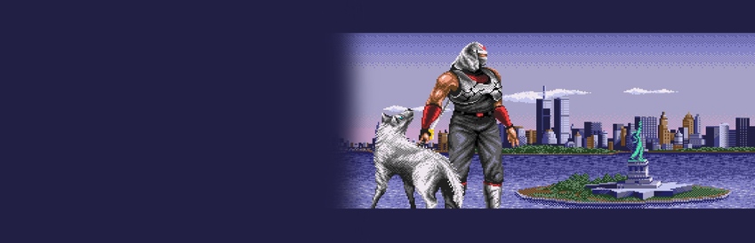 Hero for Shadow Dancer by logic - SteamGridDB