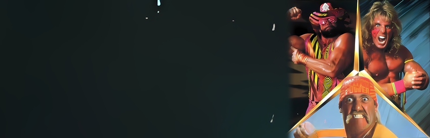 Hero for WWF Superstars by Macho Sadness - SteamGridDB