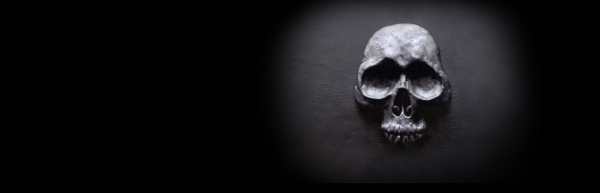 Hero for Heretic: Shadow of the Serpent Riders by Nickstar - SteamGridDB