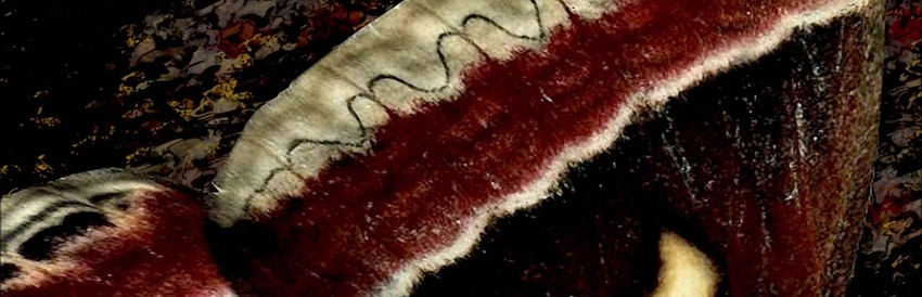 Hero for Half-Life: Absolute Redemption by Violett - SteamGridDB