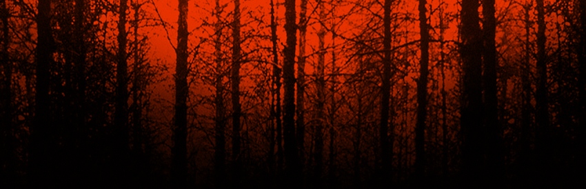 Hero for Blair Witch Volume I: Rustin Parr by Arikado1476 - SteamGridDB