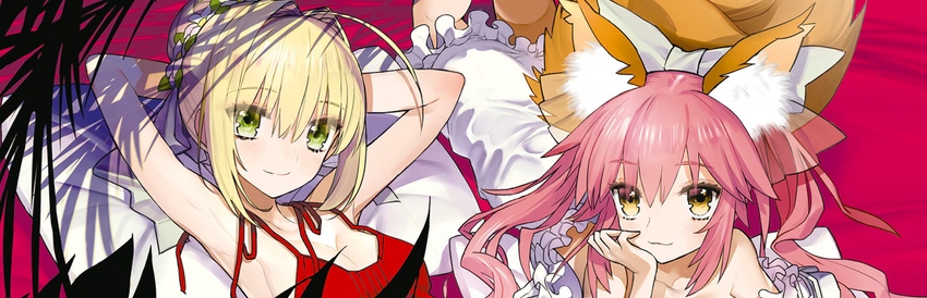 Hero for Fate/Extra CCC by Metagawa - SteamGridDB