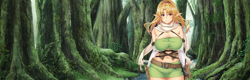 Hero for Futanari Elf Kairaku Choukyou by riefu24 - SteamGridDB