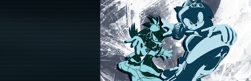 Hero for Sonic Riders: Zero Gravity by Neptune13 - SteamGridDB