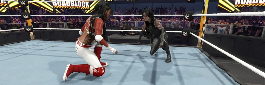 Hero for WWE 2K24 by yungchrist - SteamGridDB