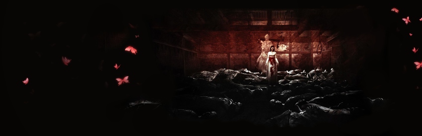 Hero for Fatal Frame 2 / Project Zero 2: Wii Edition by Kyouko - SteamGridDB