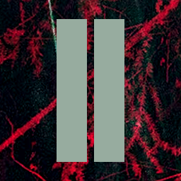 Icon for Alan Wake 2 by Rinkijidokuta - SteamGridDB
