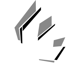 Icon for Project Wingman by Man_of_Krieg - SteamGridDB