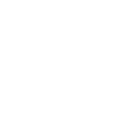 Icon for Fallout 3: Game of the Year Edition by CrAzYpEnGuIn - SteamGridDB