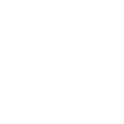 Icon for Stray by BigHungryChicken - SteamGridDB