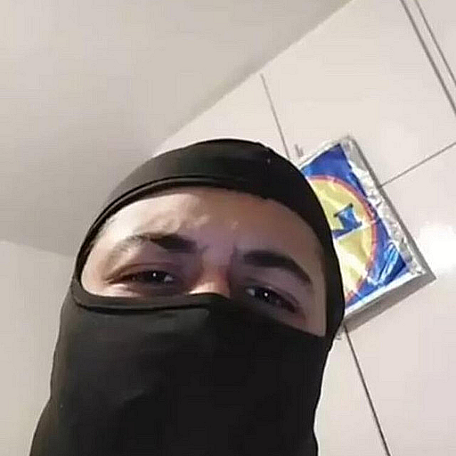 Icon for HBDIE: The Nonce 2 by markusbass - SteamGridDB