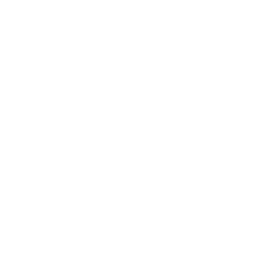 Icon for Assassin's Creed Syndicate by carl6005 - SteamGridDB