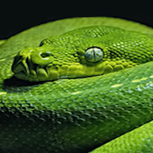 Icon for Snake 2 by Thisiguy - SteamGridDB