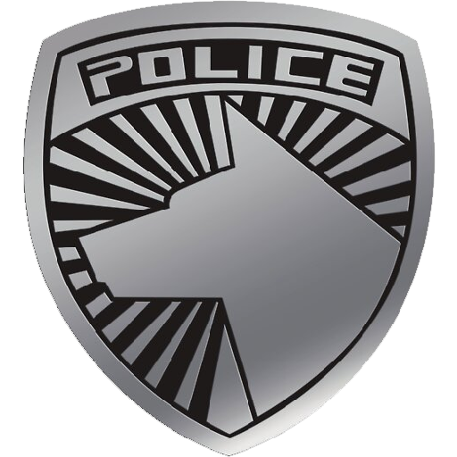 Icon for Power Rangers S.P.D. by Rookie - SteamGridDB