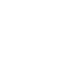 Icon for Apex Legends by PaperFalcon - SteamGridDB