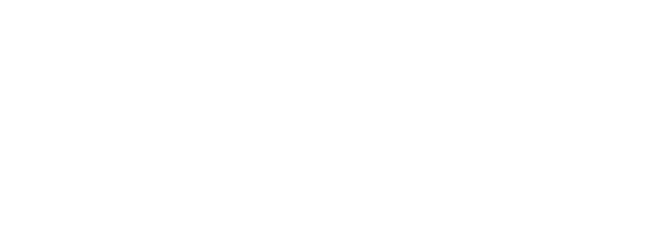 Freedom Planet - SteamGridDB