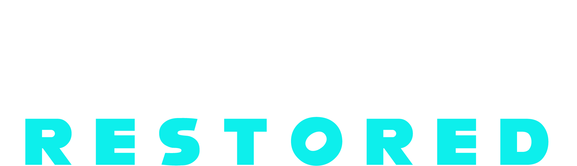 Perfect System - SteamGridDB