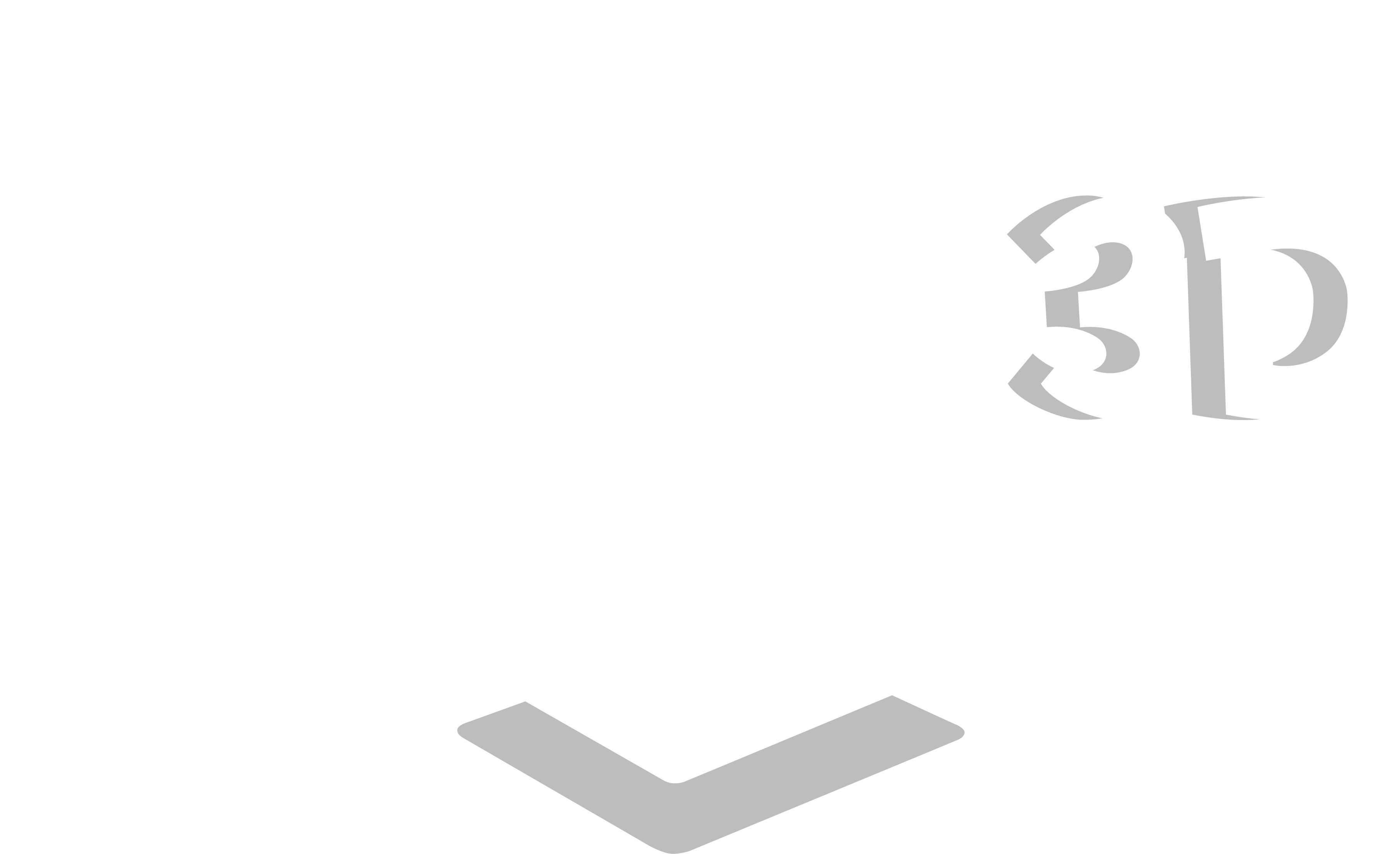 Flipnote Logo