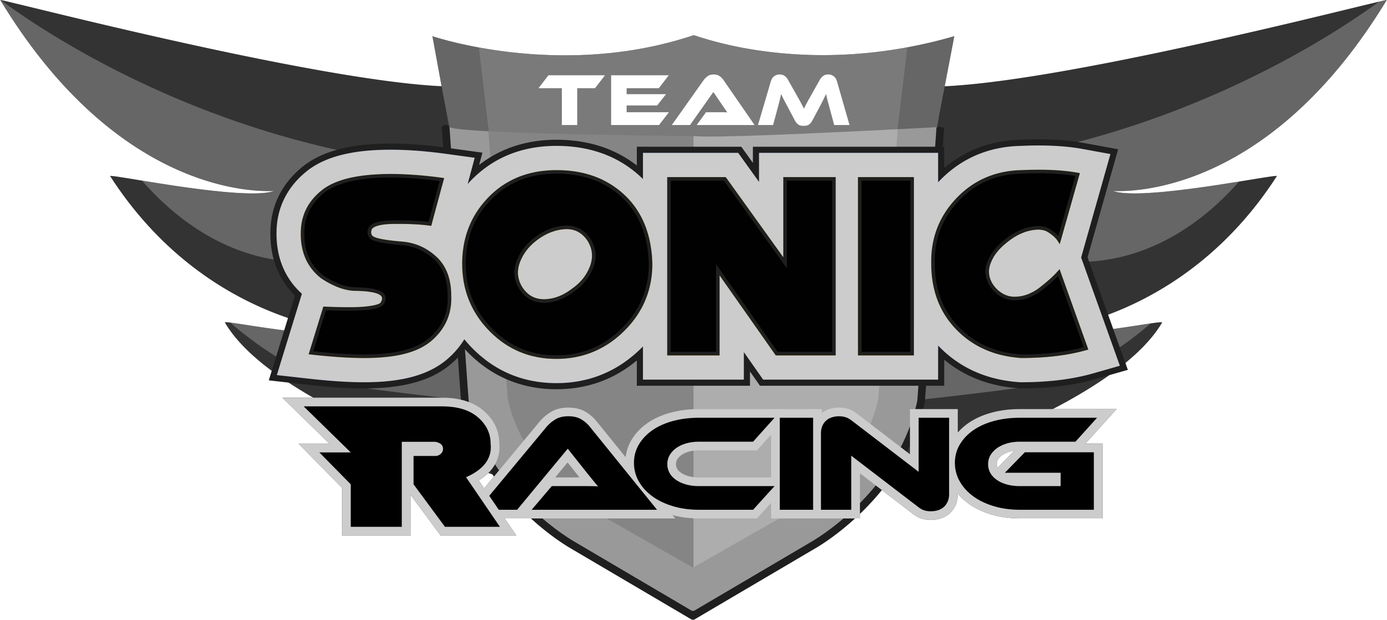 Team Sonic Logo
