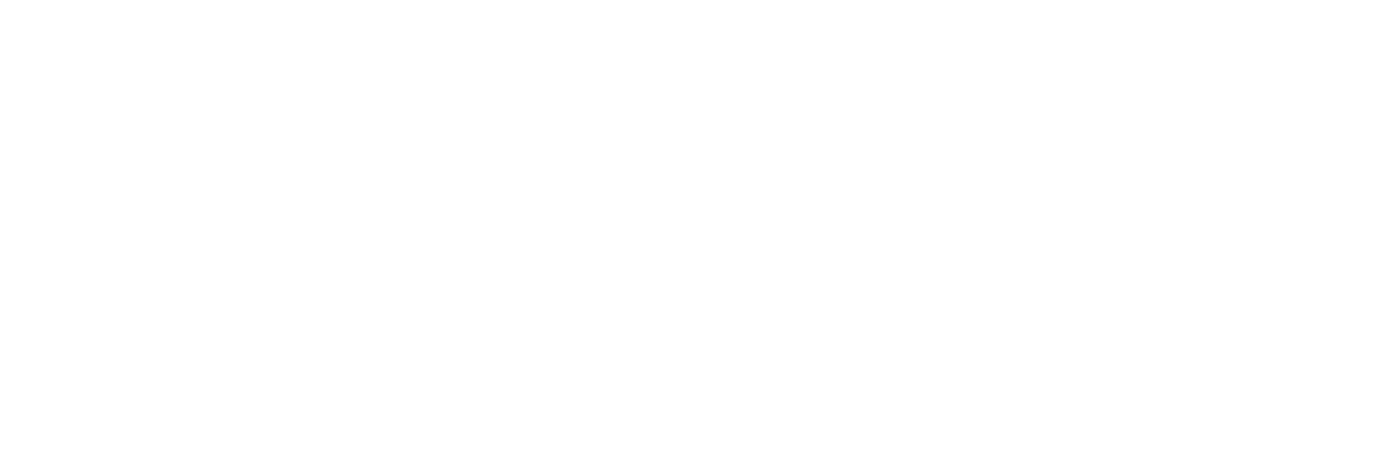 RSDK Decompilations - SteamGridDB