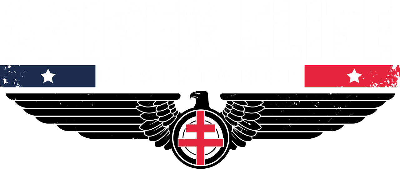 Sniper Elite: Resistance - SteamGridDB