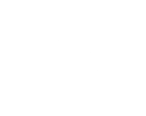 Logo for Street Fighter V by anth - SteamGridDB