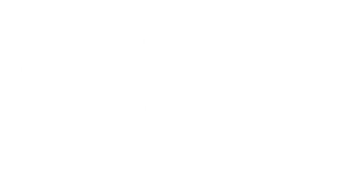 Logo for Diablo II: Resurrected by Shorono - SteamGridDB