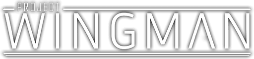 Project Wingman - SteamGridDB