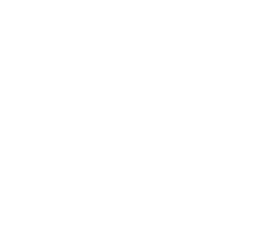 Logo for The Sims 2 by Tyra64 - SteamGridDB