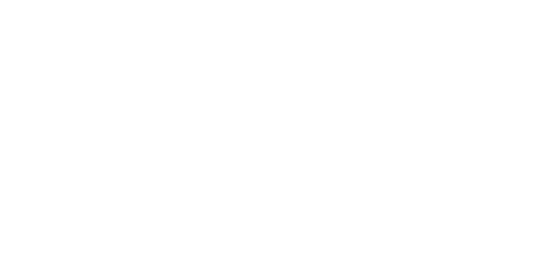 Logo for New Vegas Script Extender (NVSE) by The Duality System ...